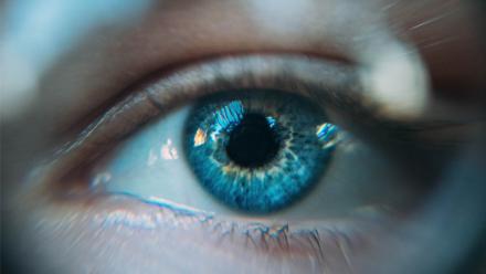 Understanding vision issues in multiple sclerosis | MS Trust